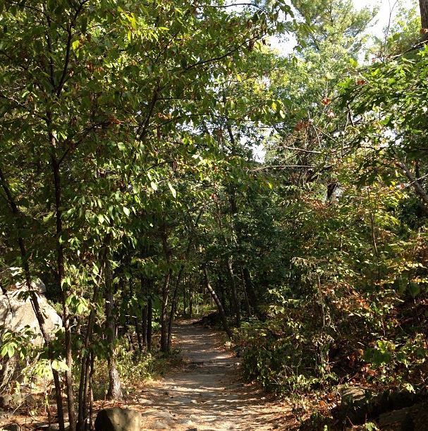 Interstate State Park