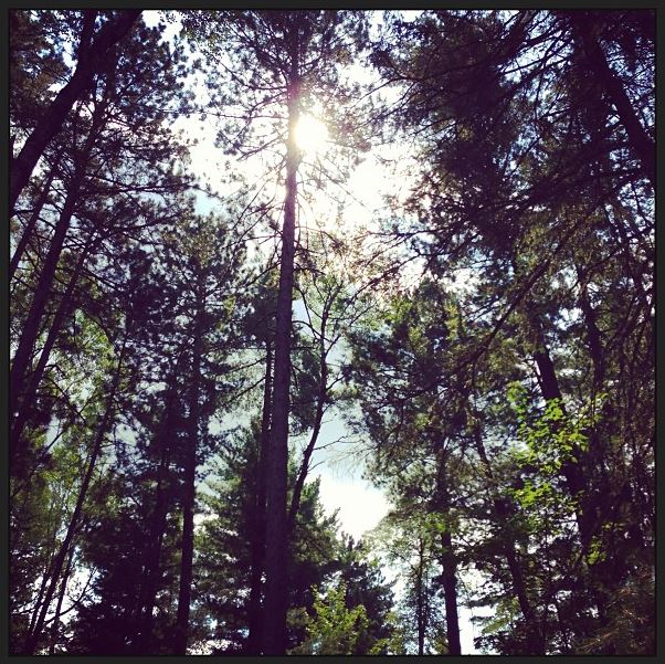 Echo Trail (Superior National Forest)