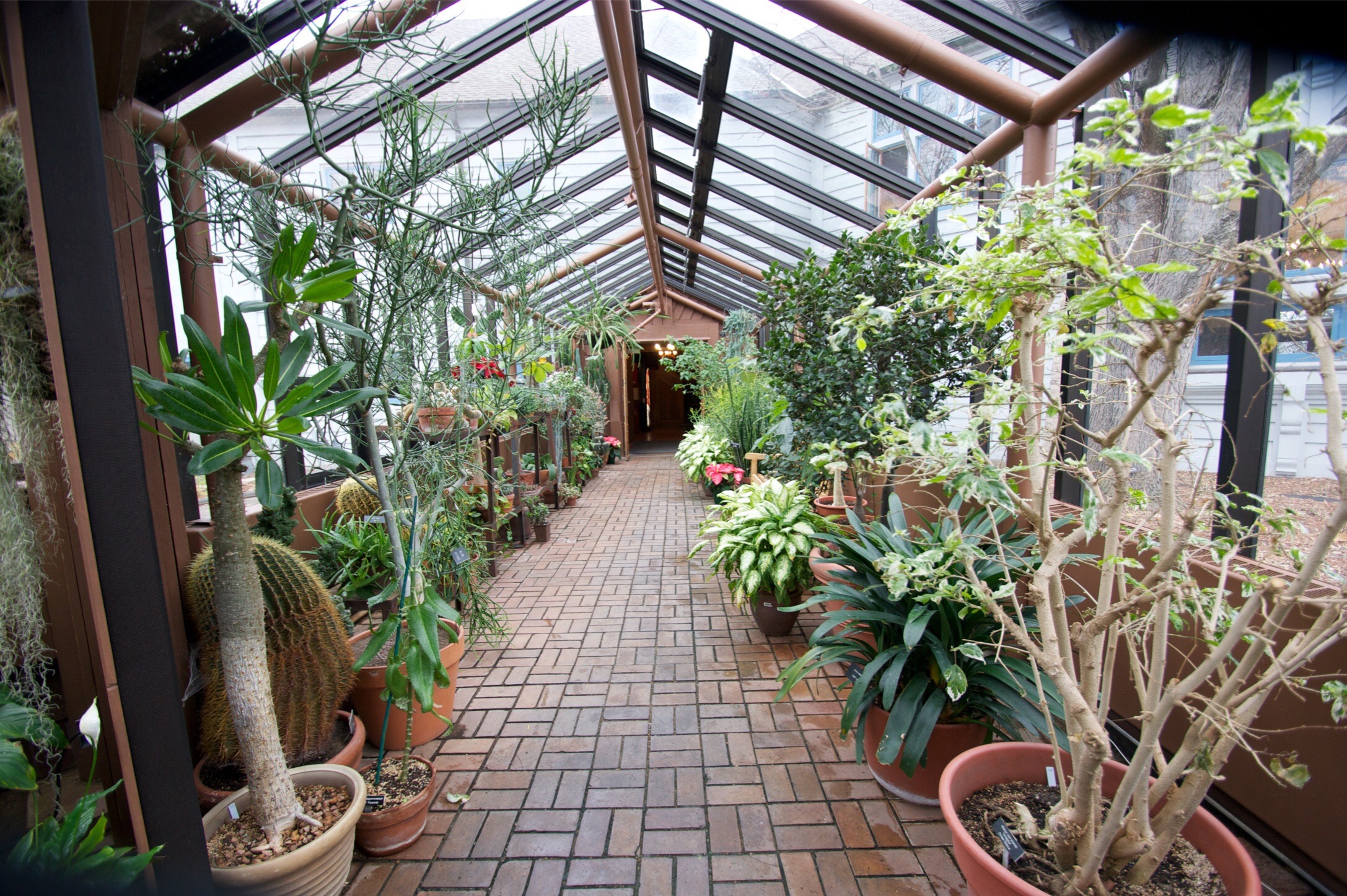 Minnesota Landscape Arboretum