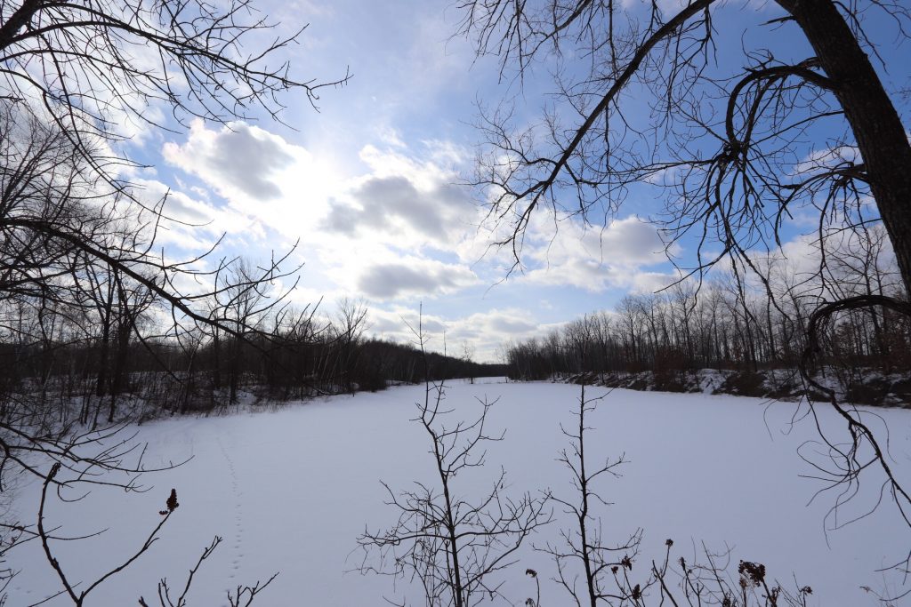 Cuyuna Country State Recreation Area