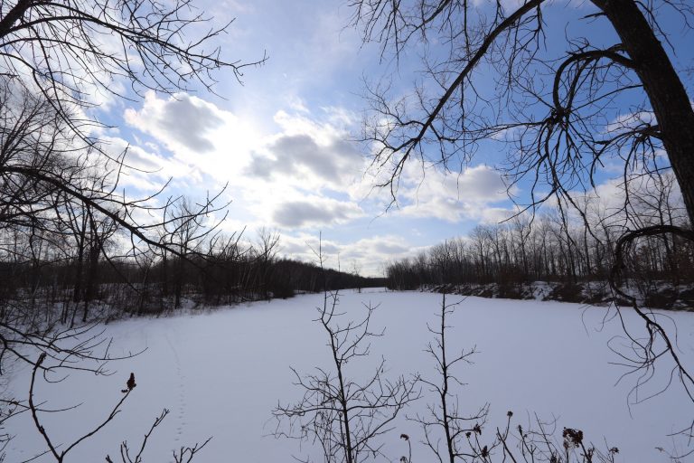Cuyuna Country State Recreation Area