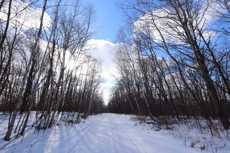 Cuyuna Country State Recreation Area