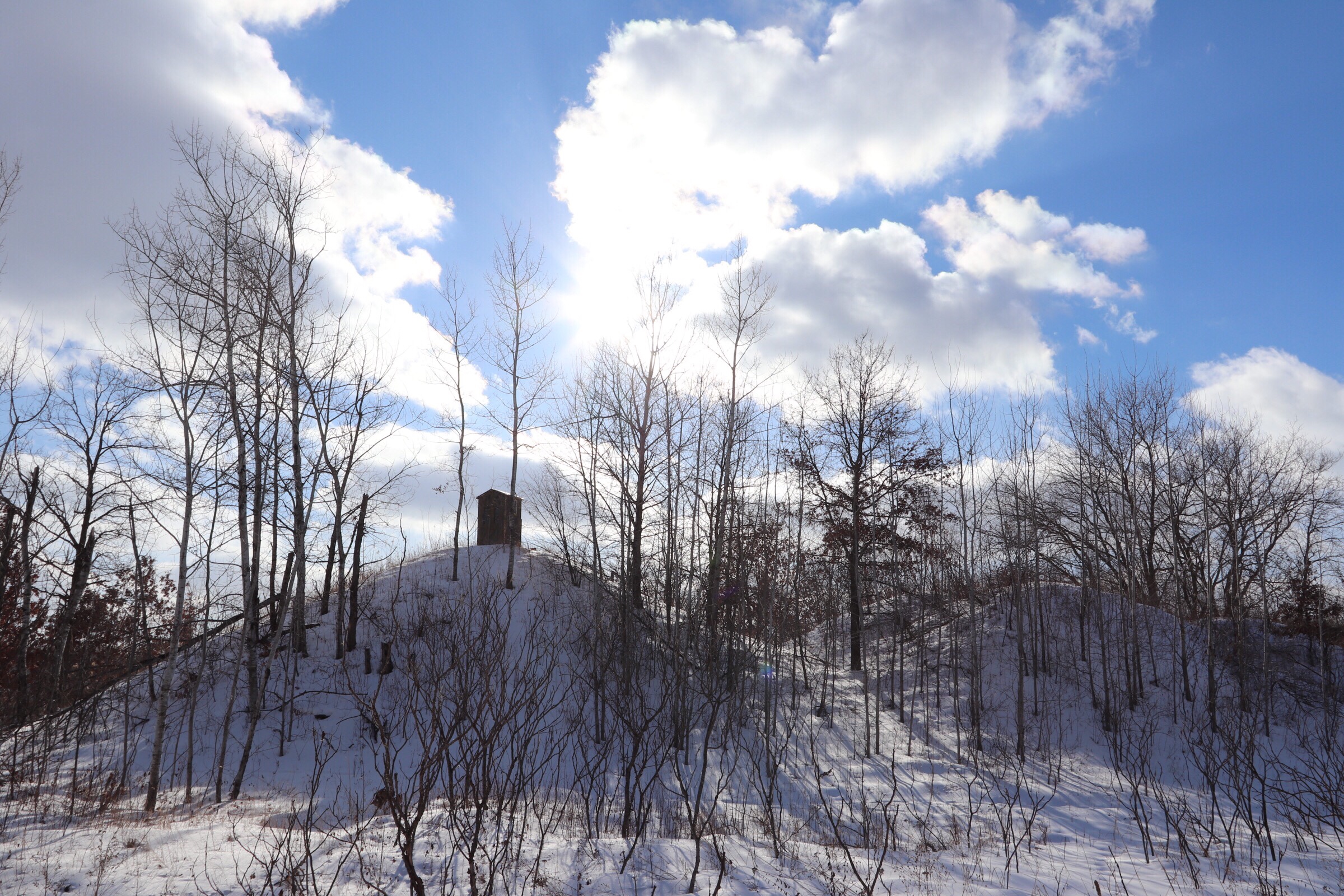 Cuyuna Country State Recreation Area