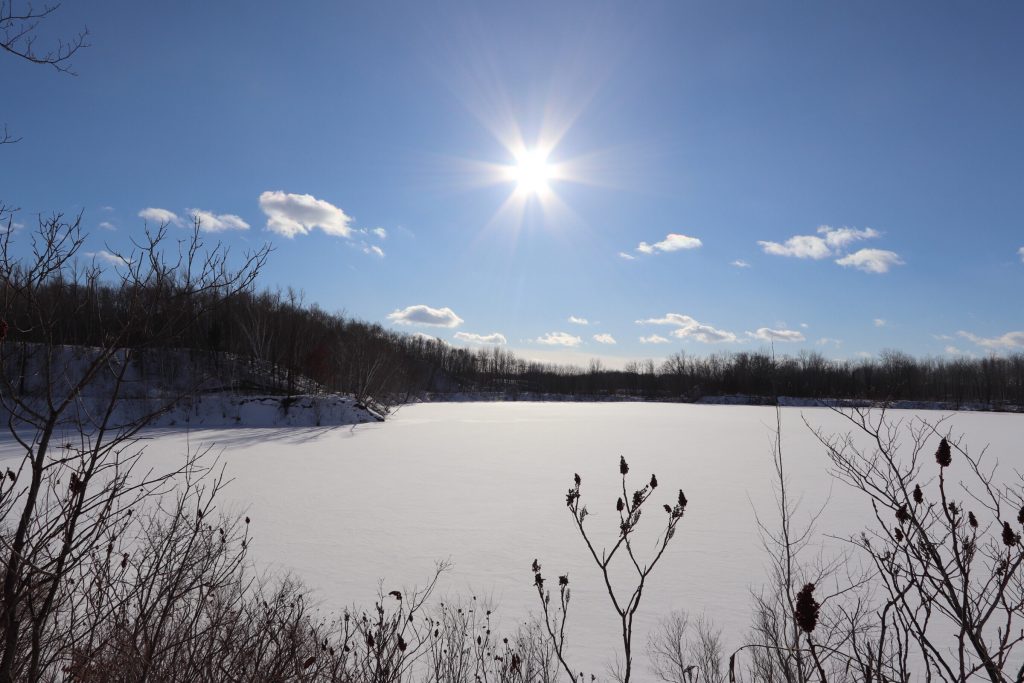 Cuyuna Country State Recreation Area