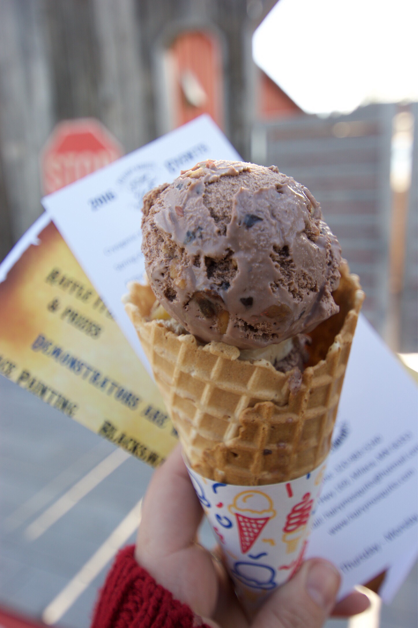 Hairy Mosquito Trading Co.