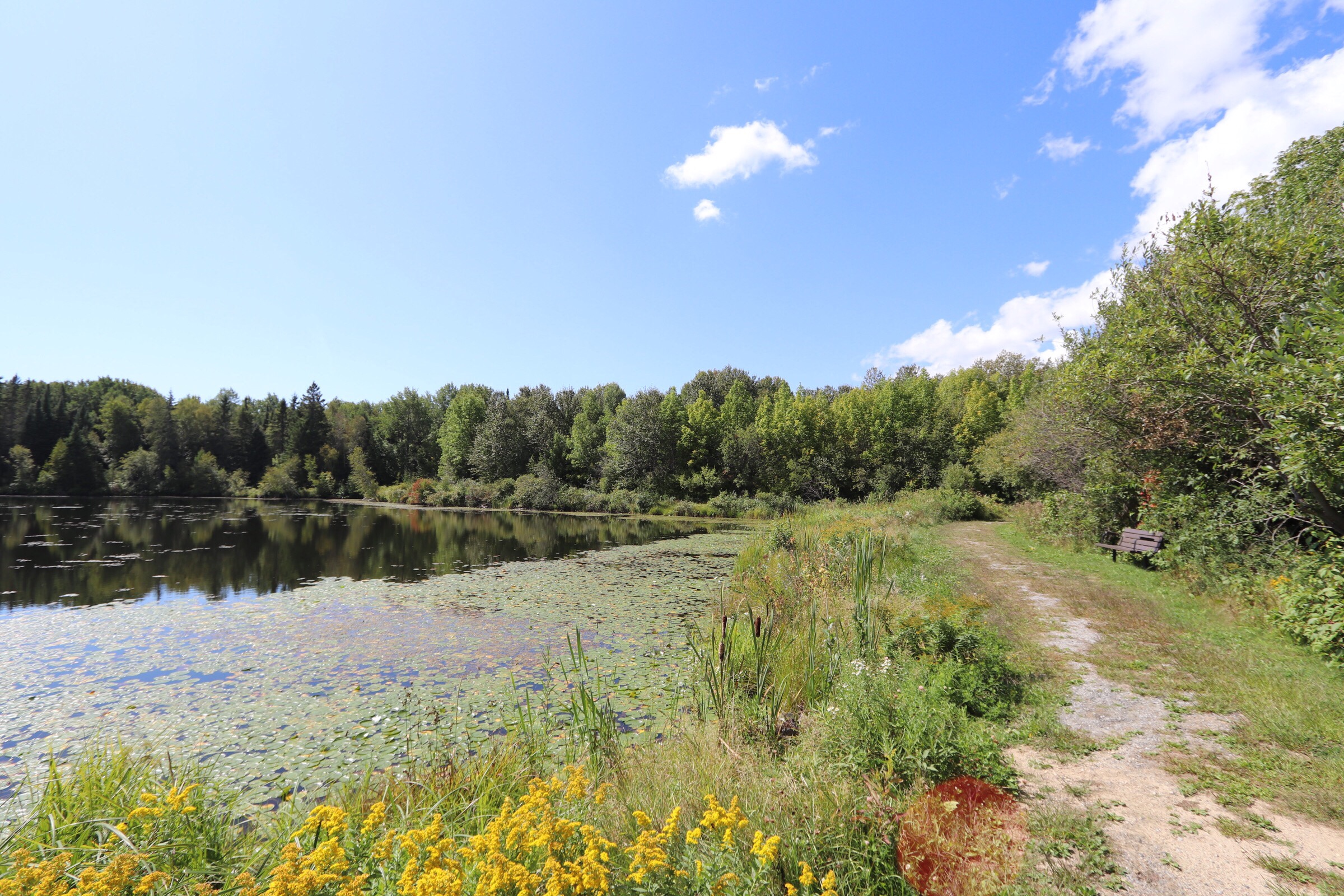 Big Bog State Recreation Area – Northwest