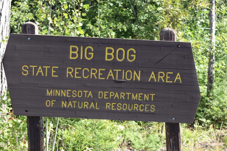 Big Bog State Recreation Area – Southeast