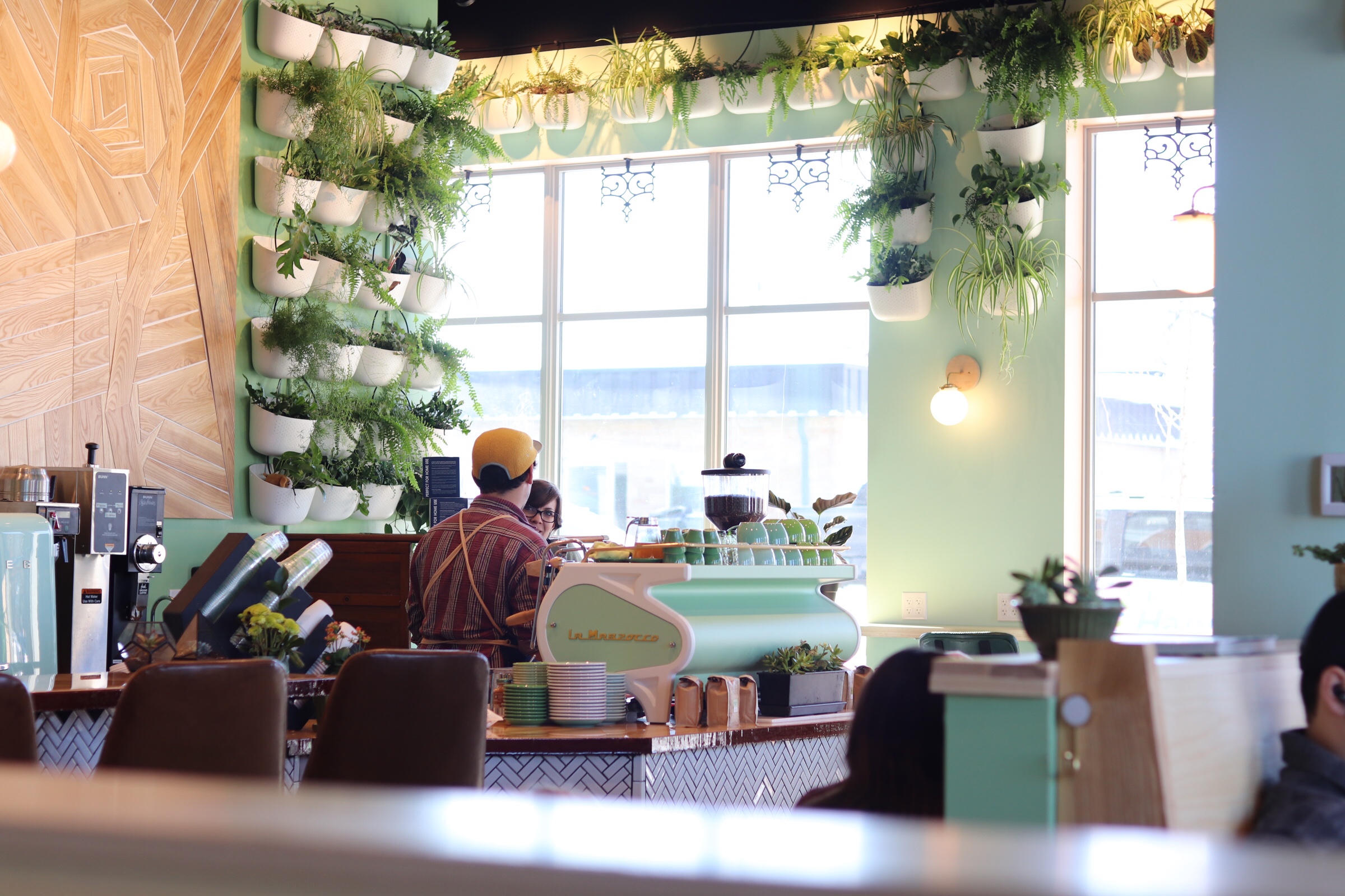 Fiddlehead Coffee Co.