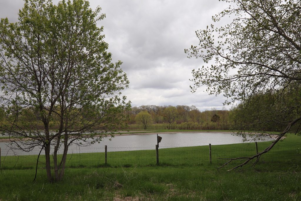 Myre-Big Island State Park