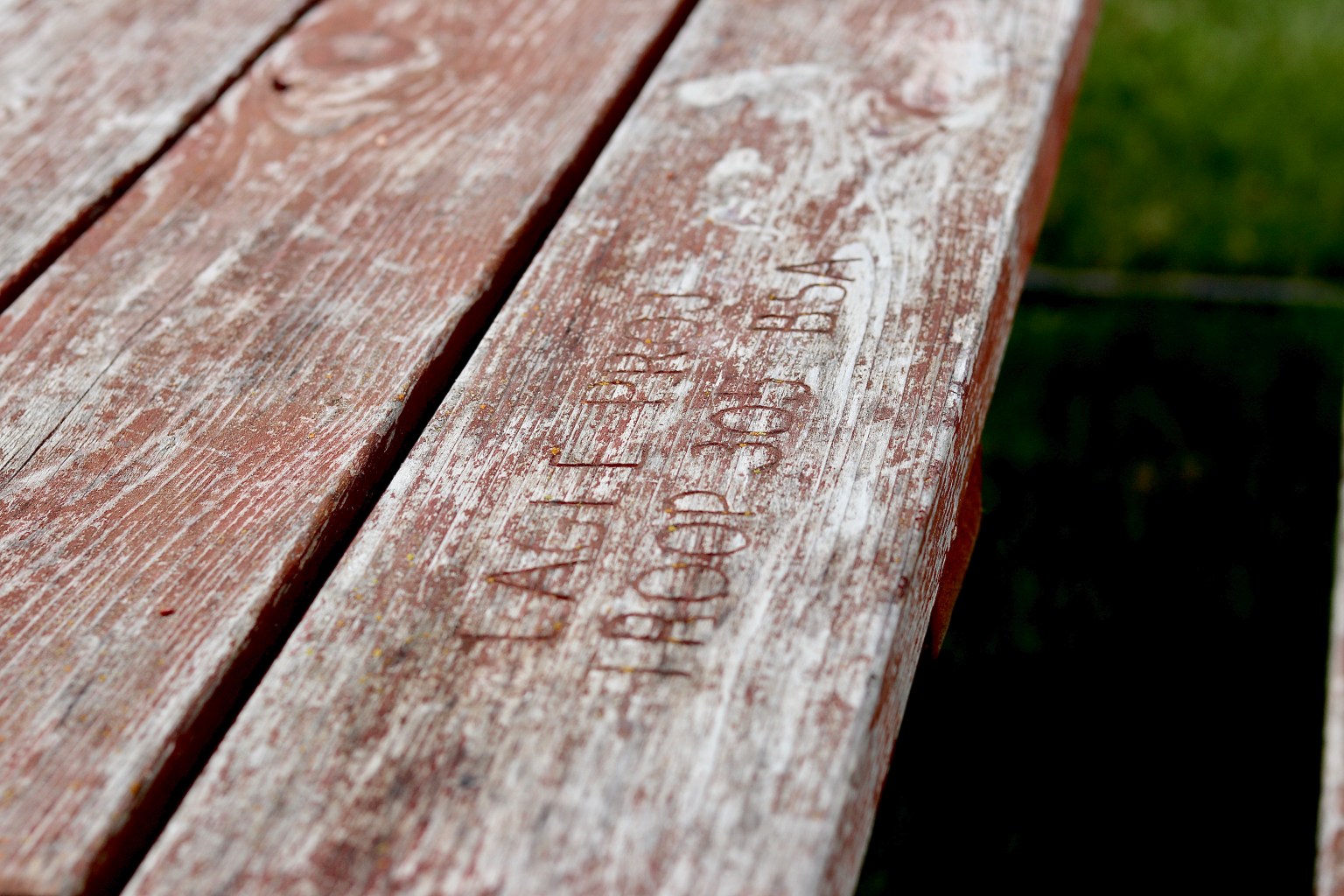 Historic Phelps Mill and County Park