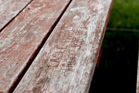 Historic Phelps Mill and County Park