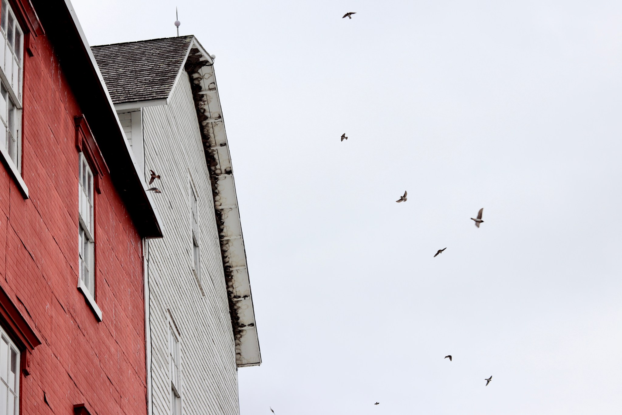 Historic Phelps Mill and County Park