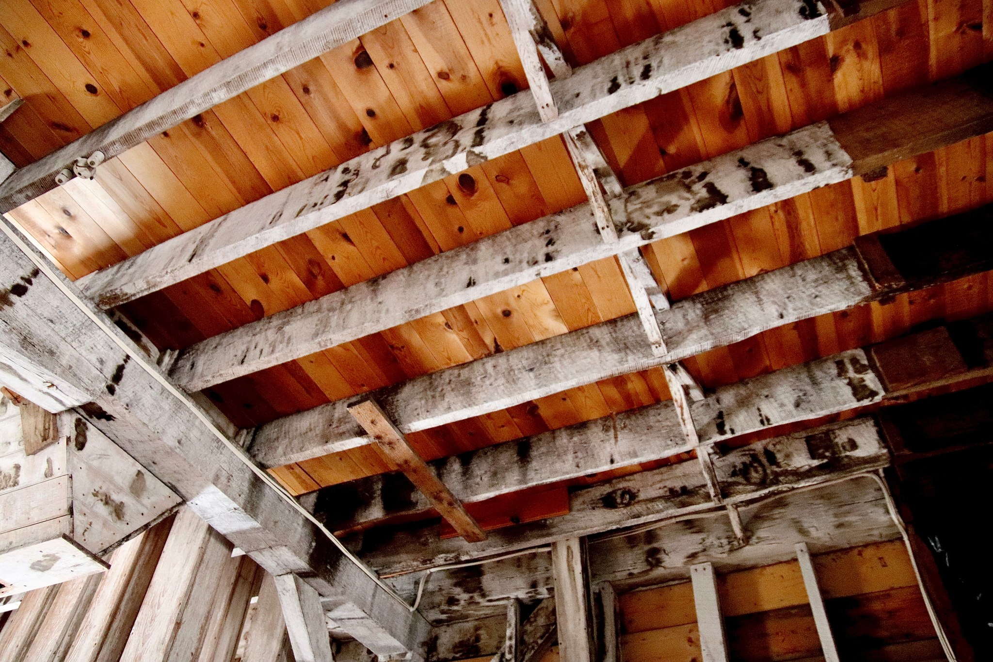 Historic Phelps Mill and County Park